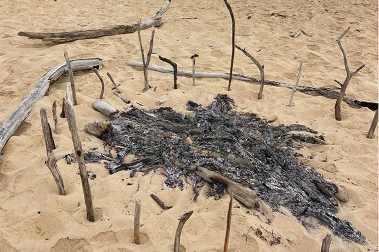 Man cops $1000 fine for 'careless act' at campground as Aussies warned ...