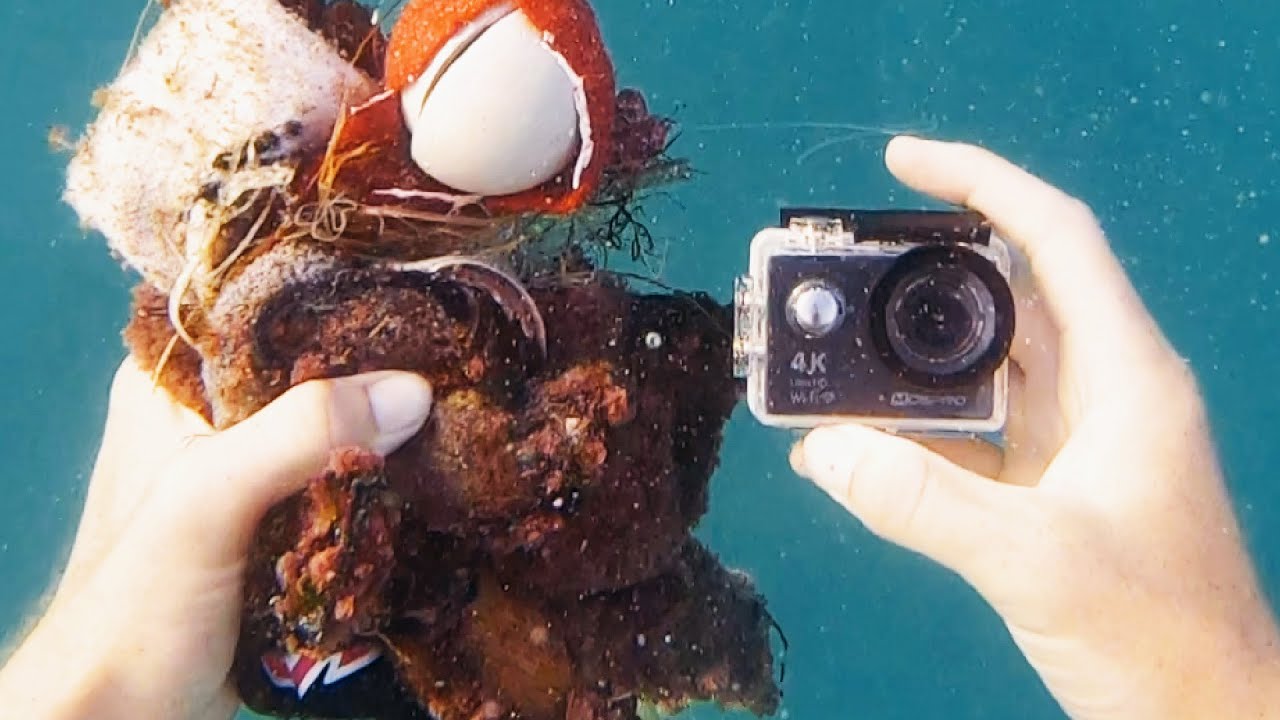 Trash Hunt Turns Into a Real-Life Treasure Find