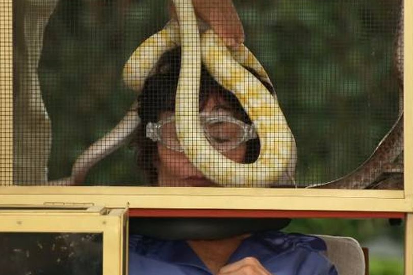 Ruby Wax's appearance leaves I'm A Celebrity fans concerned after just ...