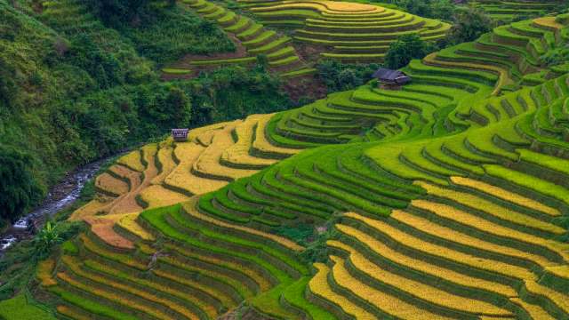 Officials sound alarm over 'unforeseeable' shortage in major food ...