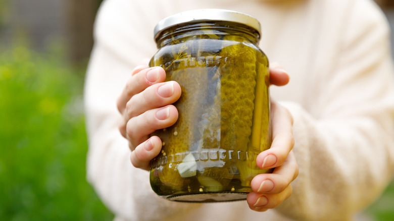 Protect Your Plants From Cold Weather With The Help Of An Empty Pickle Jar