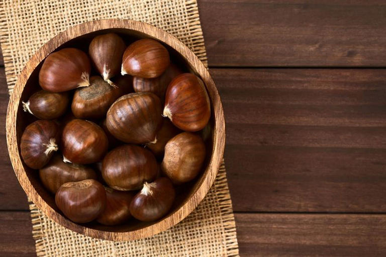 Power Up Your Diet With These 15 High-Protein Nuts