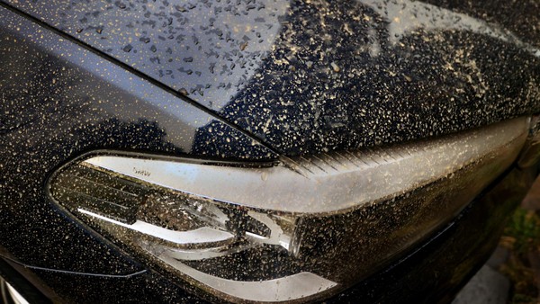 Frisch gewaschen und doch verwüstet