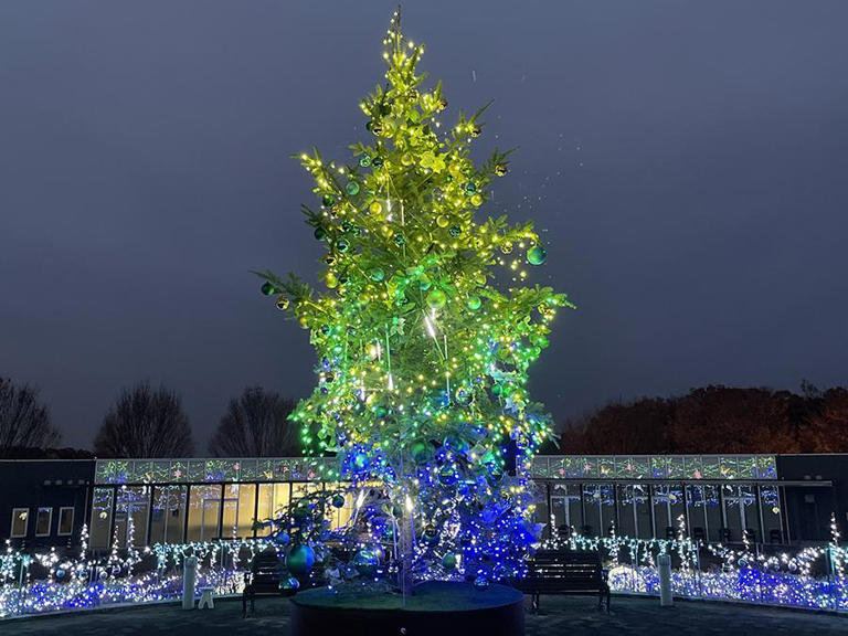 〈奈良〉冬のイルミネーション＆クリスマスイベント情報