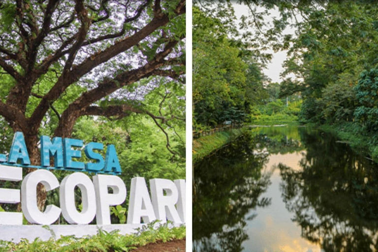 How to Use Japanese Nature Therapy for a Relaxed Year-End