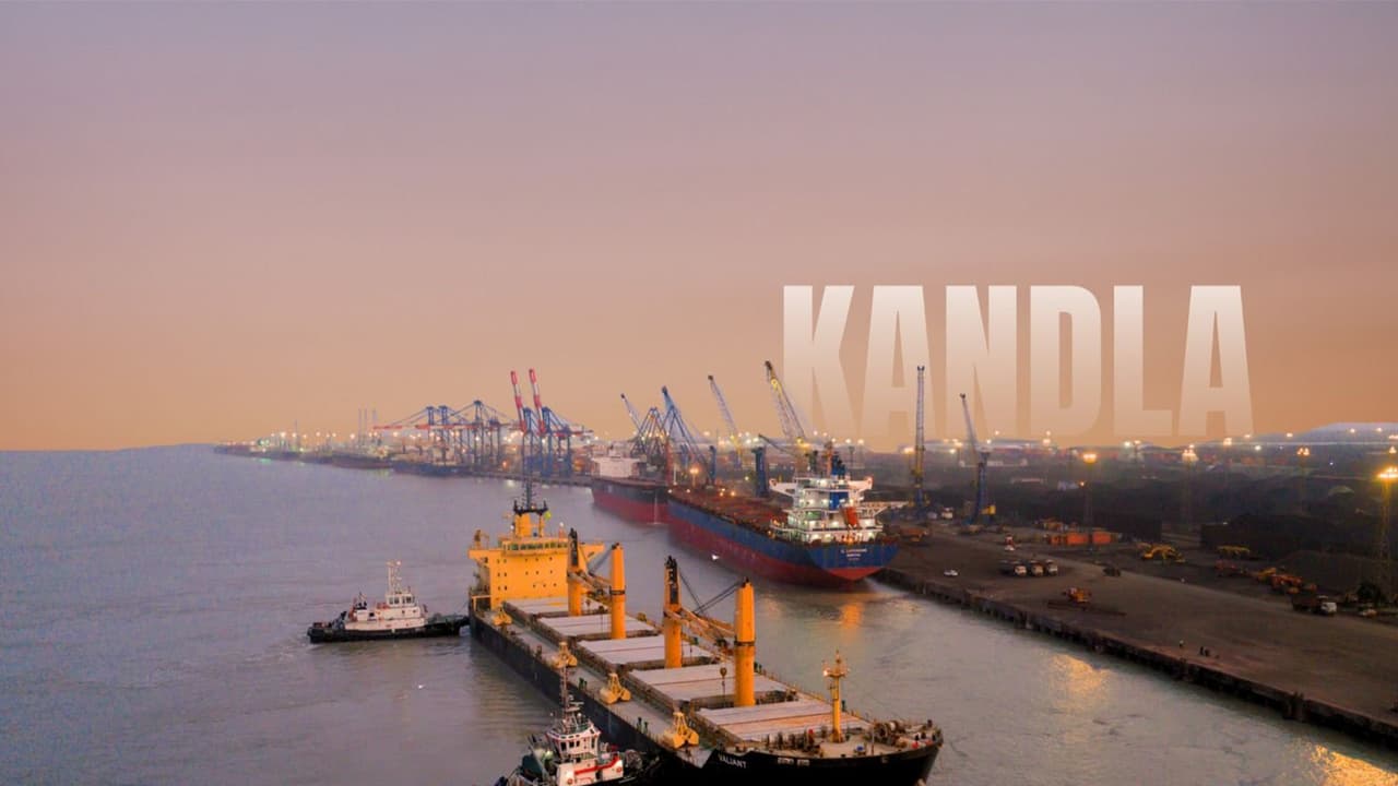 Kandla's Deendayal Port sets new record, handles 40 ships in 24 hrs