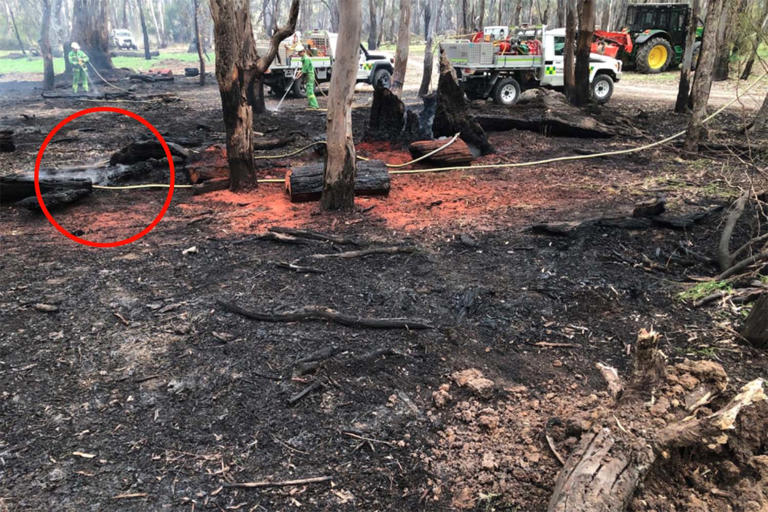 Man cops $1000 fine for 'careless act' at campground as Aussies warned ...