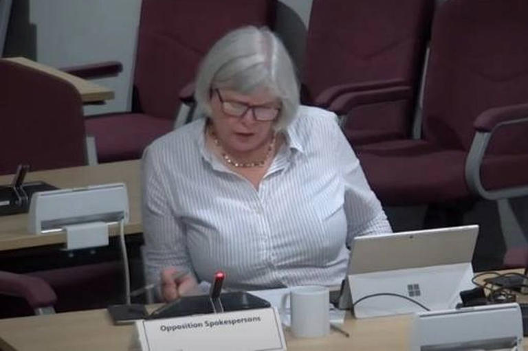 Somerset Council staff do not have ‘trotters in the trough’ over pay review