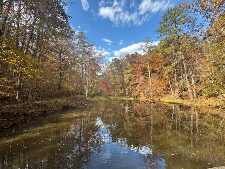 🌱 Patch AM: Local golfers shine at prestigious state tournament