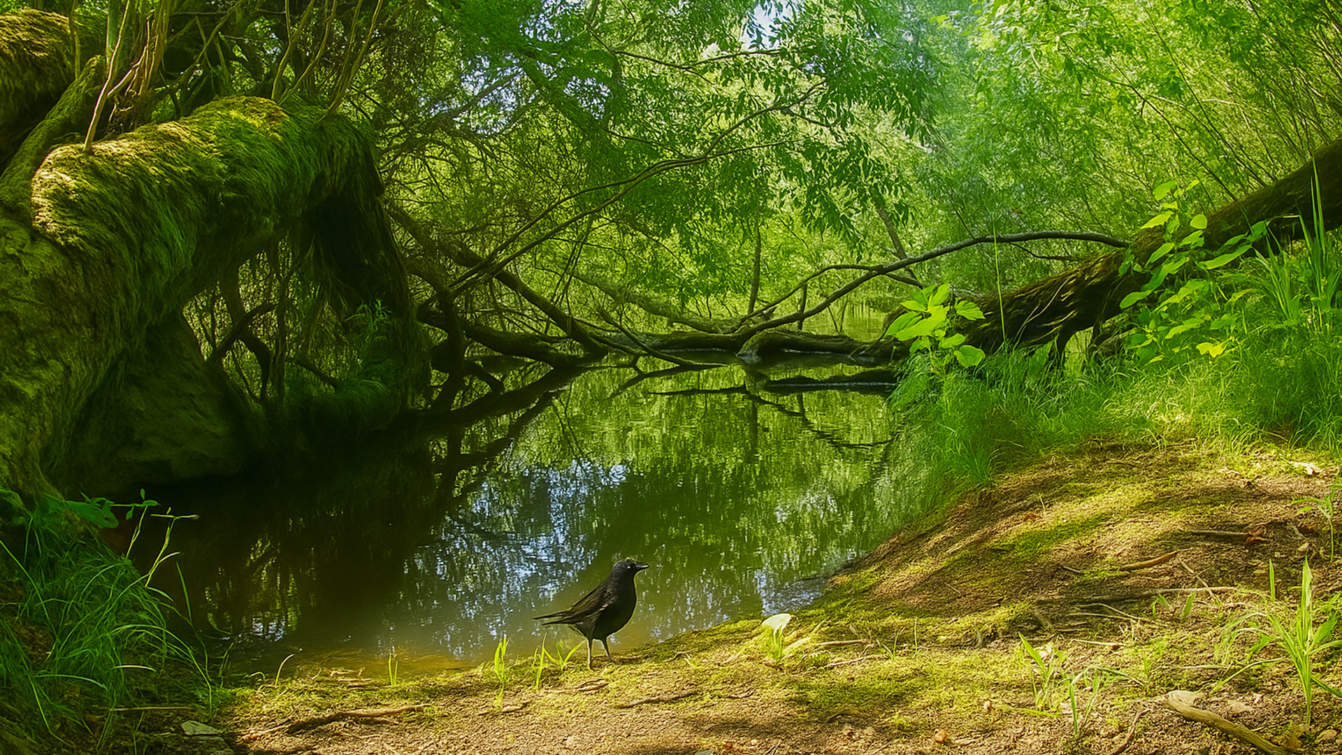 Wat gebeurde er terwijl de camera op de rivier gericht was?