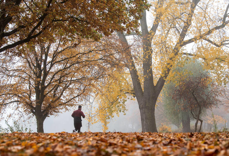 Graupel, Regen, Schneeregen: Woche in Sachsen startet wechselhaft