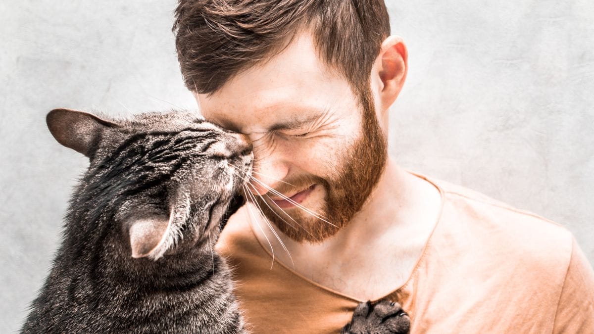 Why does my cat sniff my face? Expert reveals surprising truth