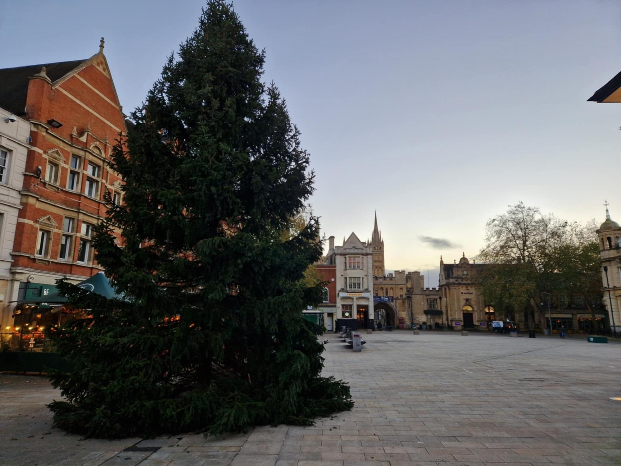 Peterborough's Christmas Tree arrives in Cathedral Square