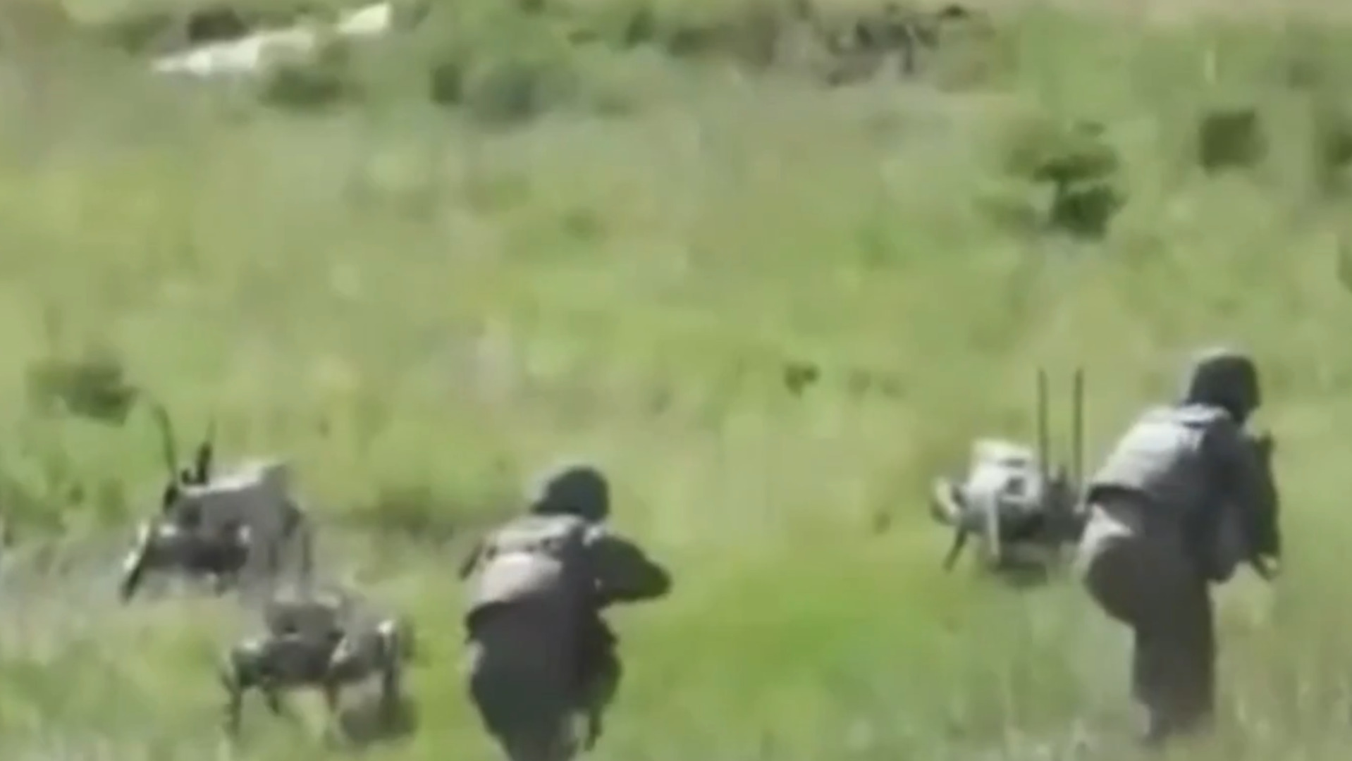 ‘Covered in blood’: China creates robot wolves to fight alongside their ...