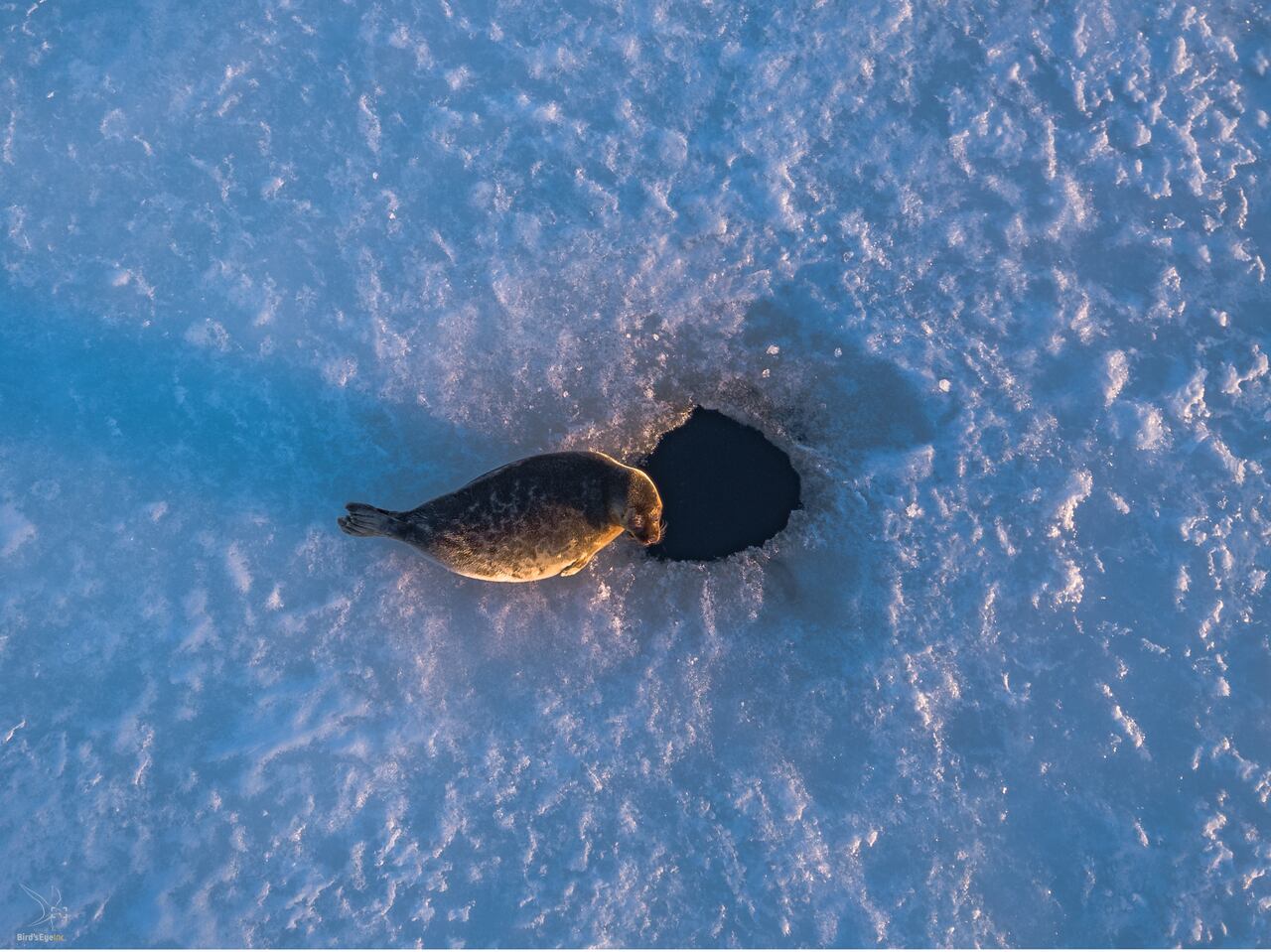 The Signal is putting a spotlight on climate change this week