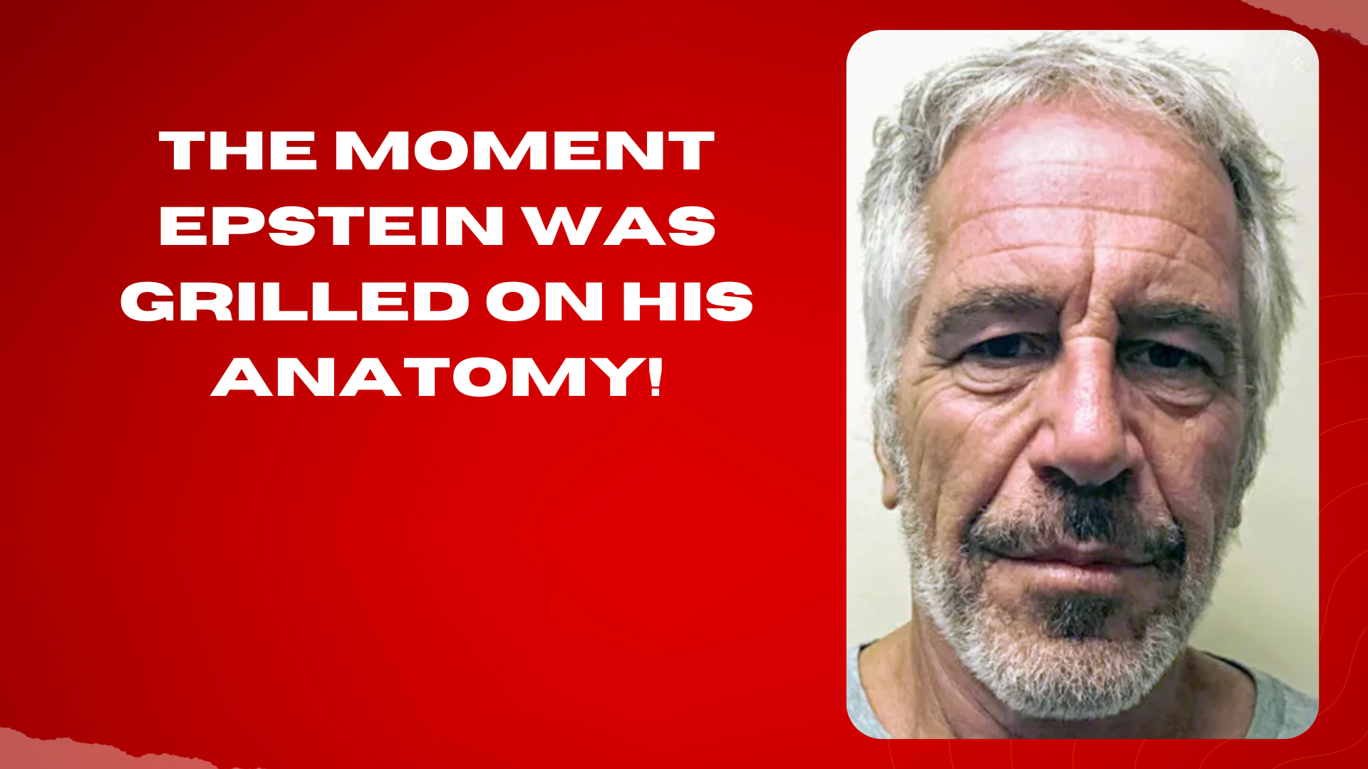 The moment Epstein was grilled on his anatomy!