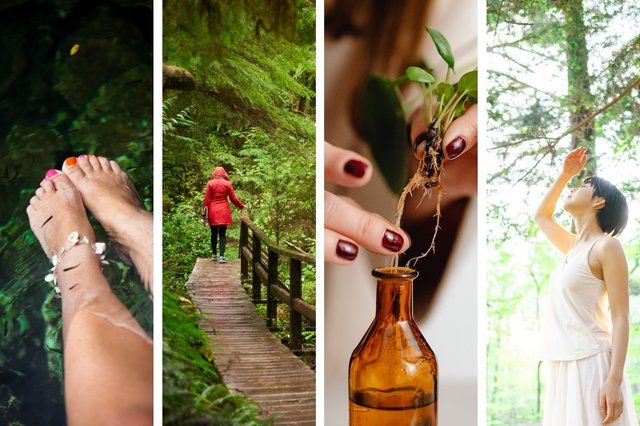 How to Use Japanese Nature Therapy for a Relaxed Year-End