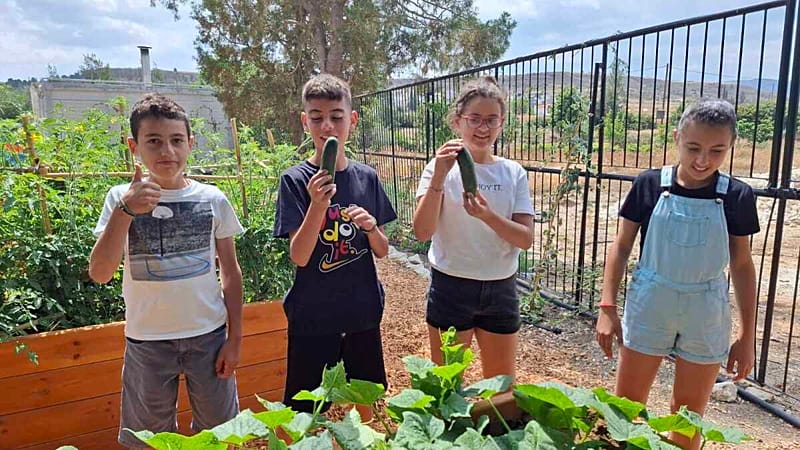 'Greening': El proyecto que acerca a los niños al cuidado del medio ...