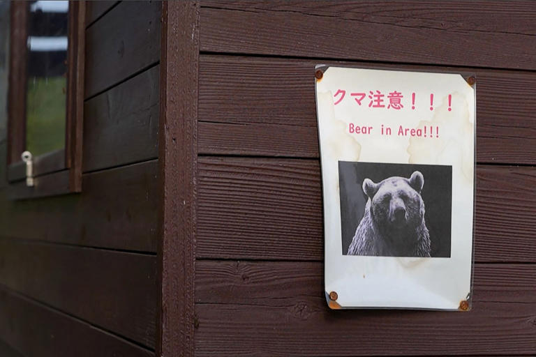 Bear Enters Shopping Mall, Shot in Japan