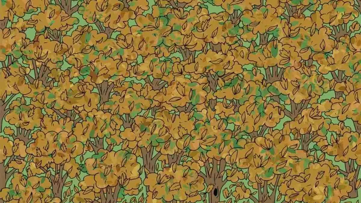 Unleash Your Detective Skills! Can You Find The Hidden Squirrel In 20 ...