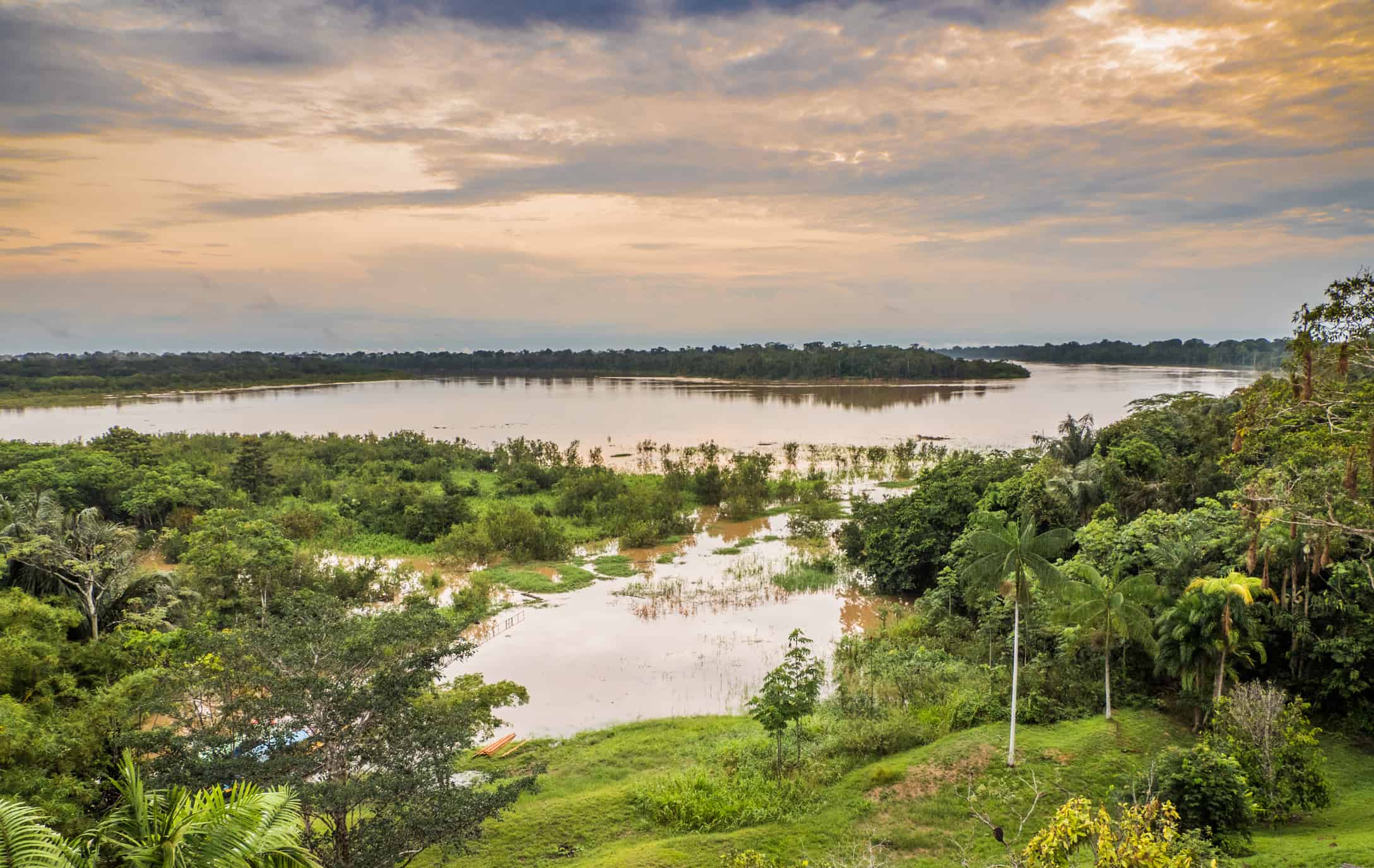 The longest snake on Earth can reach 33 feet