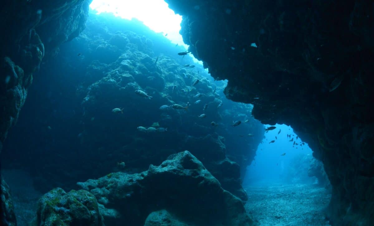 Scientists Just Found Incredible Ice Age Fossils in This Underwater Cave