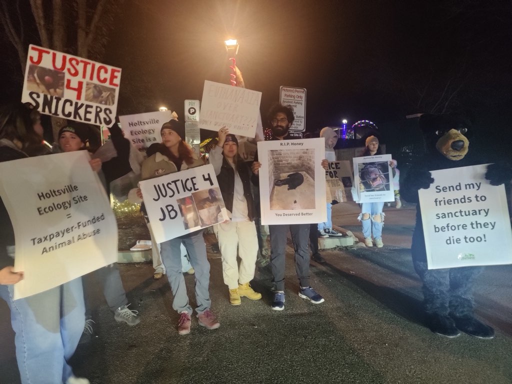 Long Island’s largest zoo, which faced animal abuse allegations, set to ...