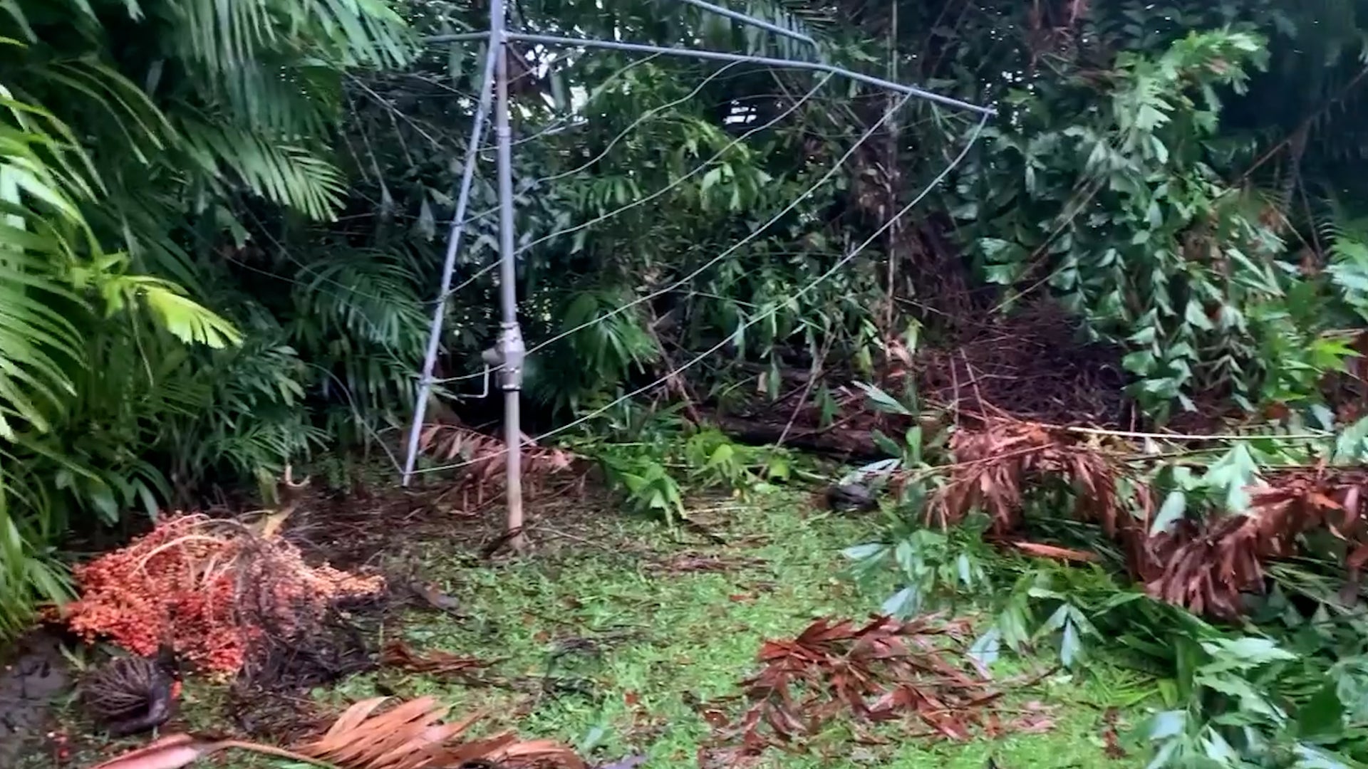 Darwin reels from Cyclone Fina’s winds