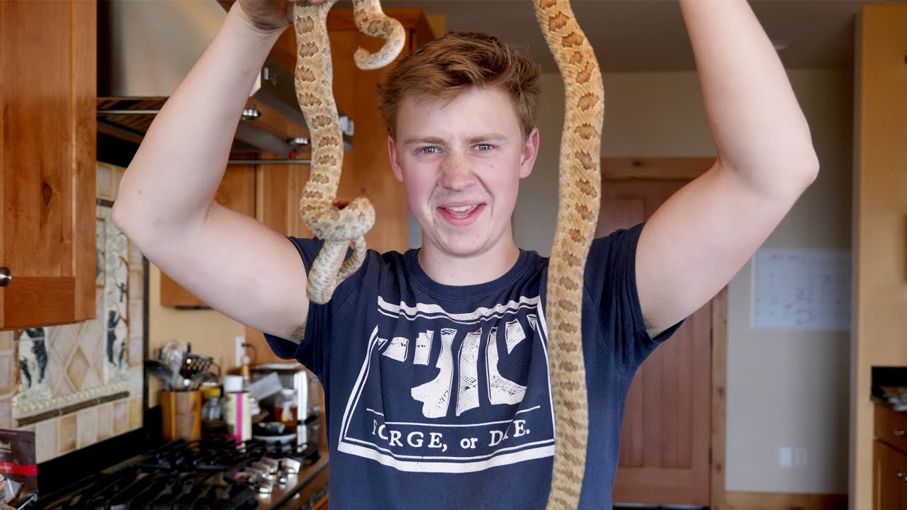 I tried making snake tacos