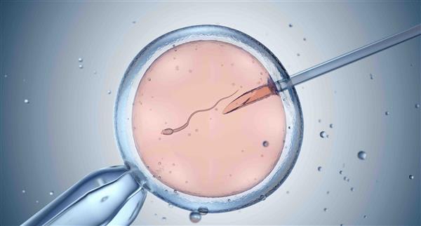 Monash IVF soars to 85cps as company rejects takeover offer despite -33 ...