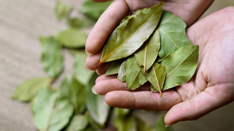 Why People Mix Bay Leaves And Baking Soda — And Whether It Really Works