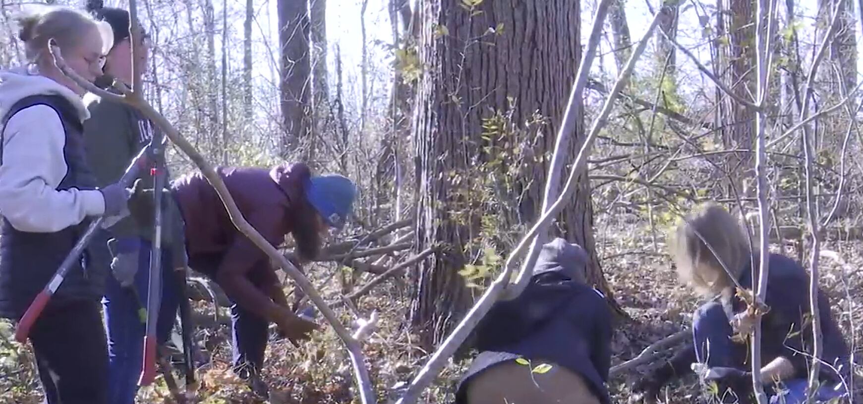 Volunteers help remove invasive species from campus bird sanctuary