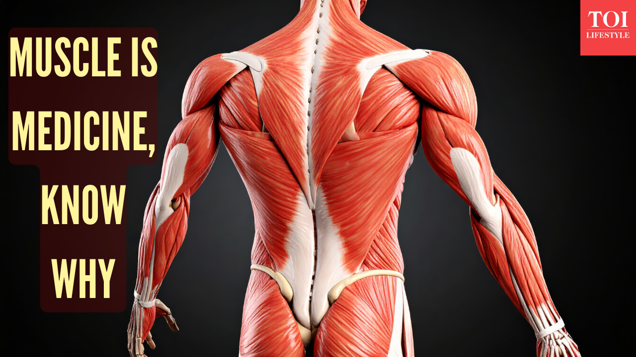 Think building muscle is just a fitness fad? Here's why it can turn out ...