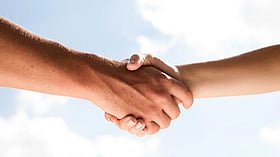 Brand Banter: The Story Of An Eternal Beta Husband, And The Start-up Wife