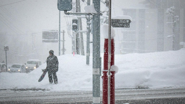 Extreme polar vortex could bury 40 states in historic cold