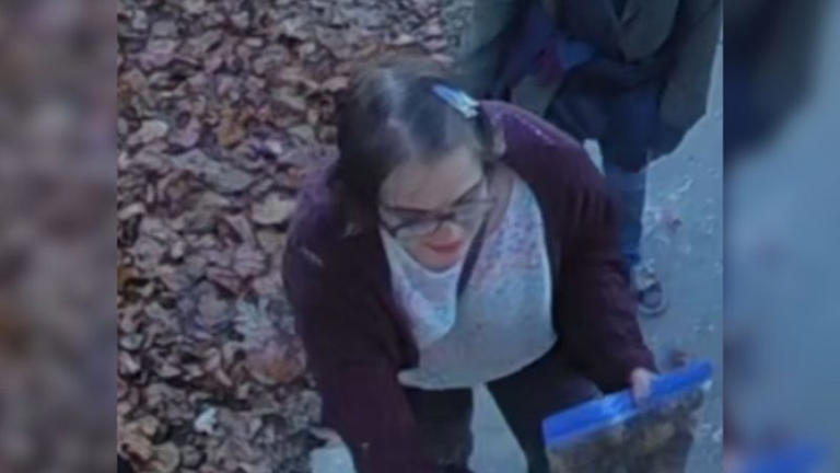 Woman in Wisconsin’s Slender Man case missing, cut off monitoring ...