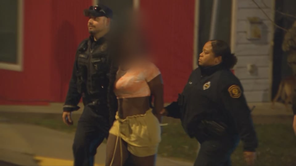 Woman arrested in connection with reported robbery in Pittsburgh’s ...