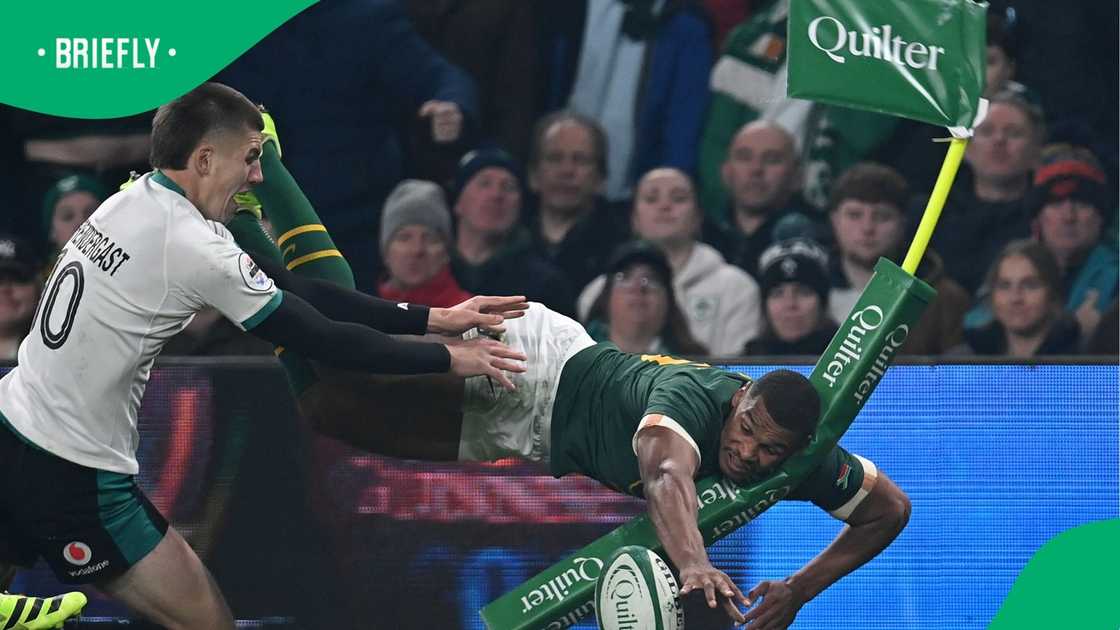 Rassie Erasmus clarifies thumbs up as Springboks beat Ireland in Dublin