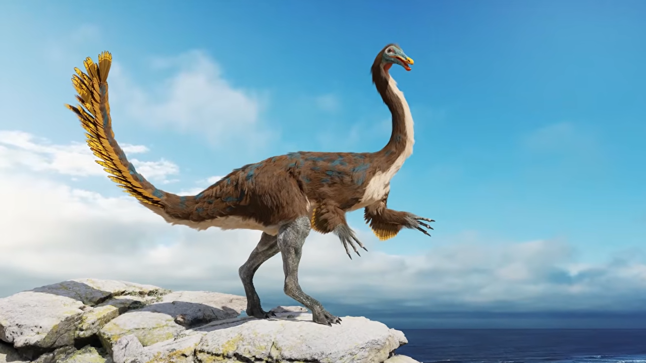 The mistake that misled experts about the world’s biggest flying animal
