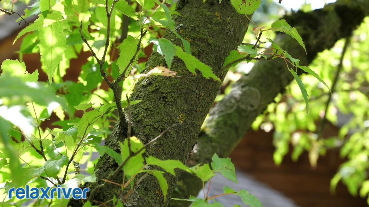 Visualization music: Inspiring music, subconscious mind, visualize your ...