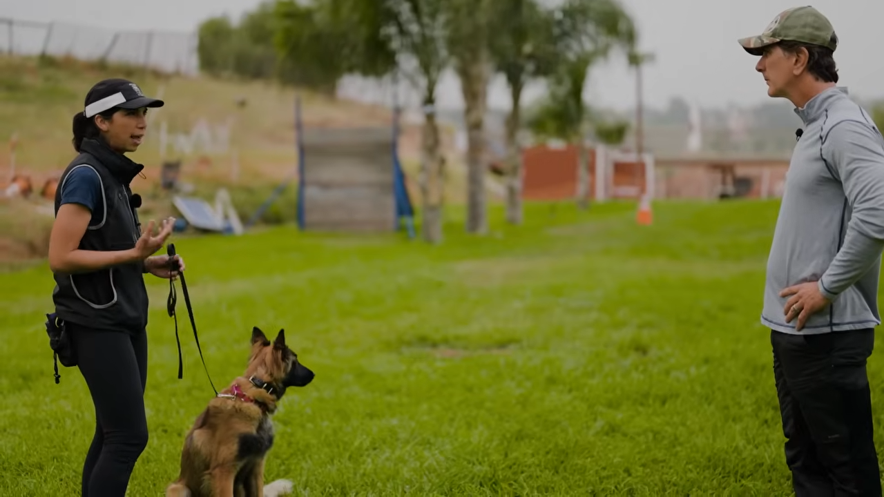 Unlocking a dog’s true potential through Cabral’s focus method