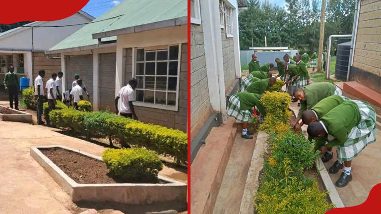 Bomet: KCSE students clean school after submitting final exam to show ...