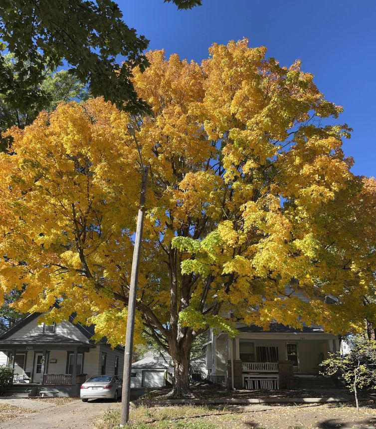 Homeowner shocked after returning from vacation to find neighbor's ...