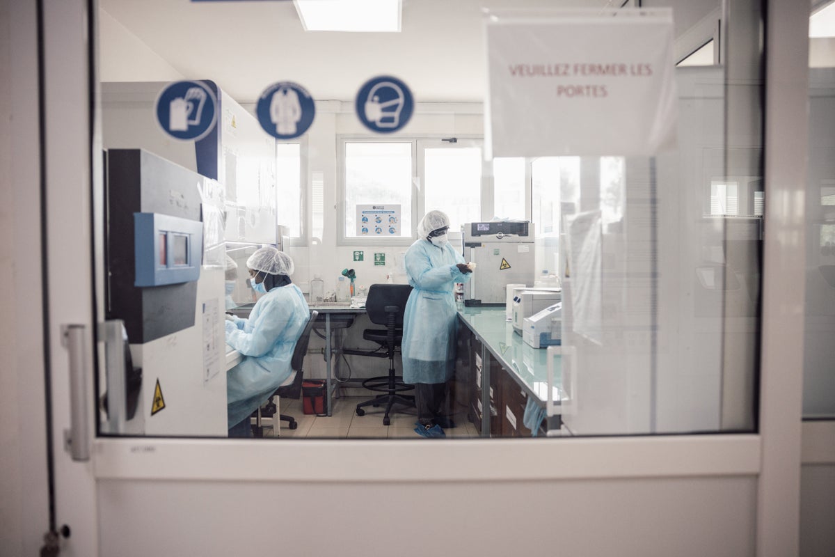 Inside the lab hunting for Disease X – and the next pandemic