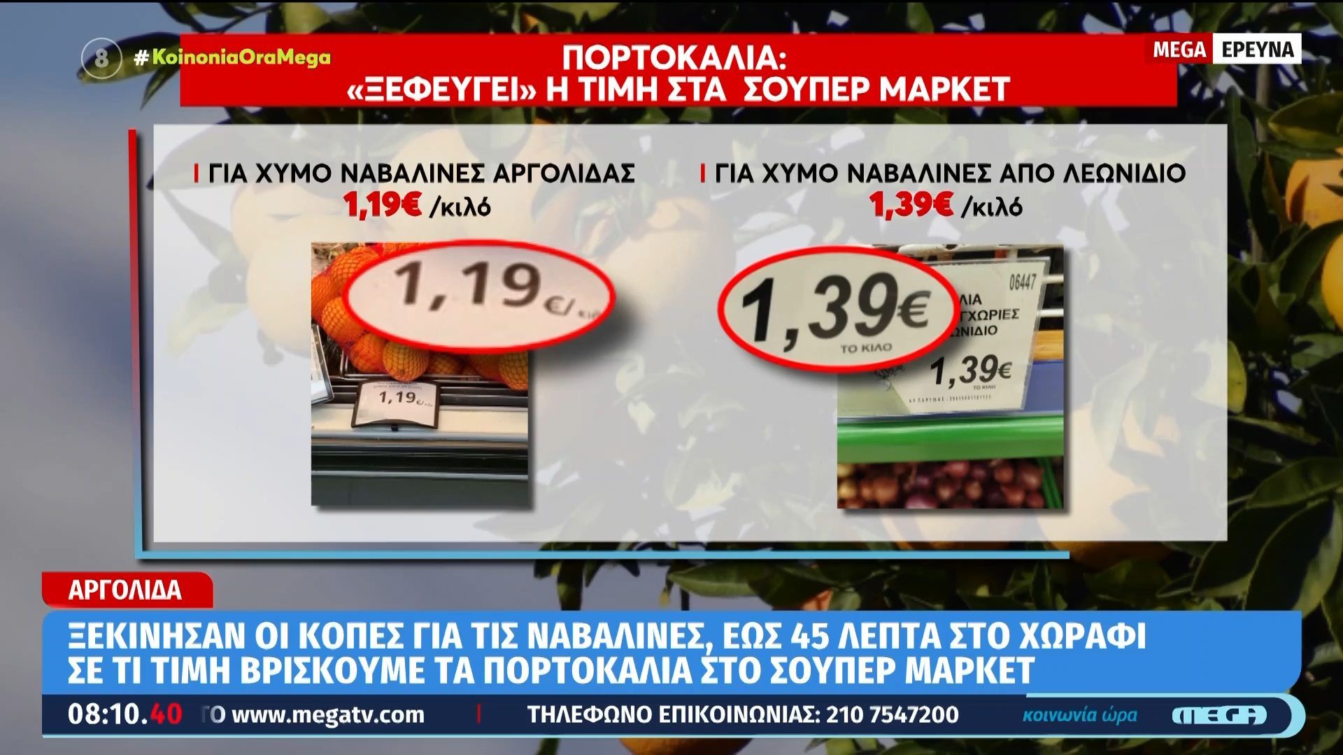 Σε τιμή κυμαίνονται τα πορτοκάλια στο σούπερ μάρκετ – Έως 0,45 ευρώ στο ...