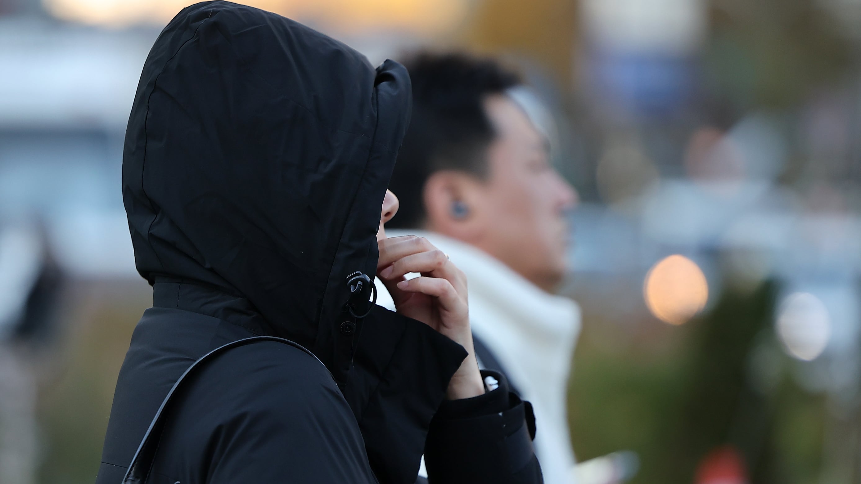 Milder Winter Expected Amid Sudden Cold Waves