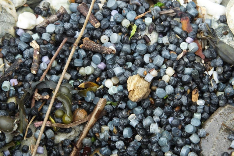 Plastic ‘bio-beads’ from sewage plants are polluting the oceans and ...
