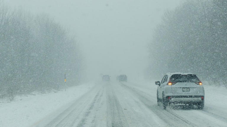 Winter storm alert issued as 12 inches of snow set to hit