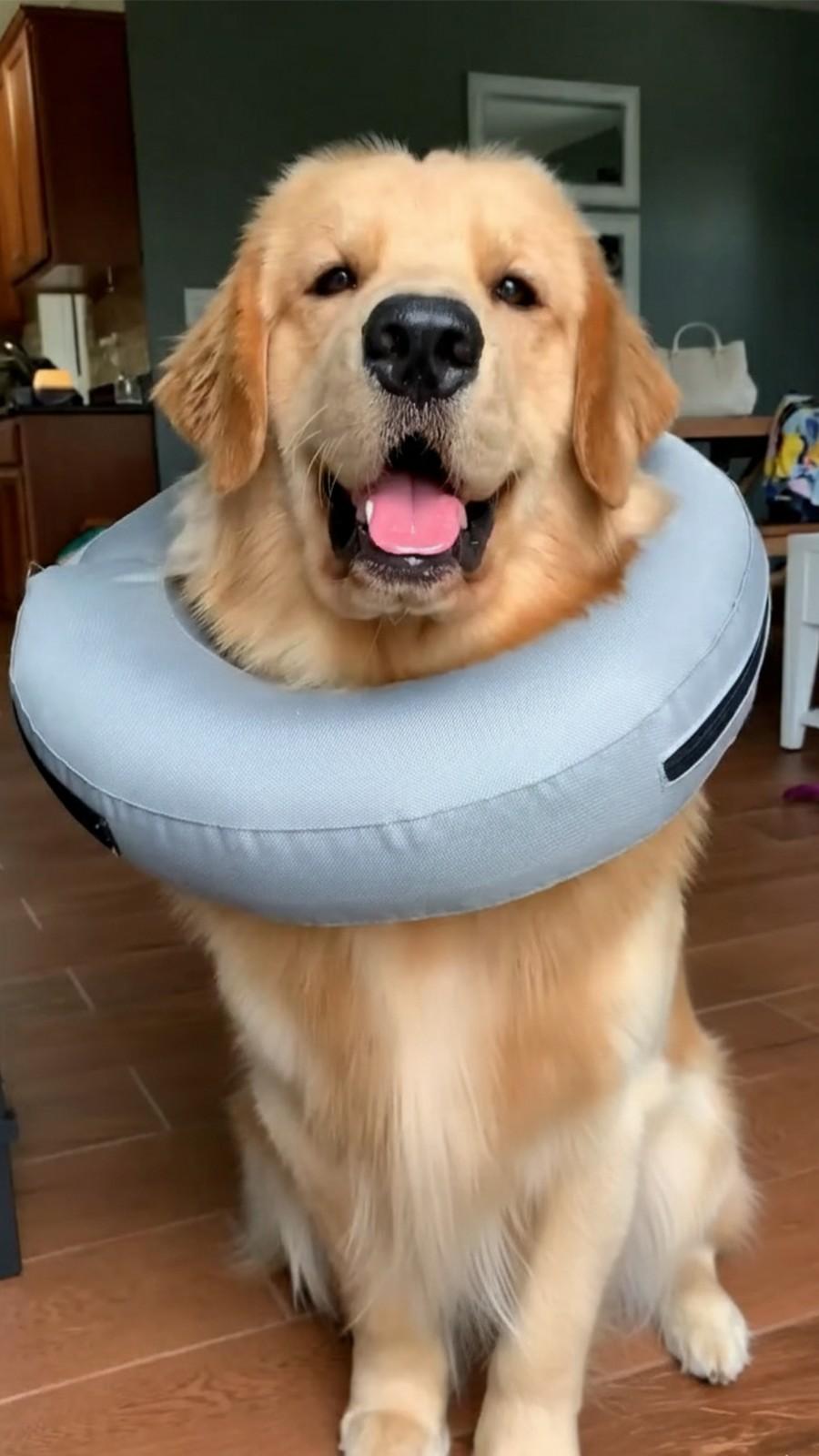 Is He… a Donut Now?