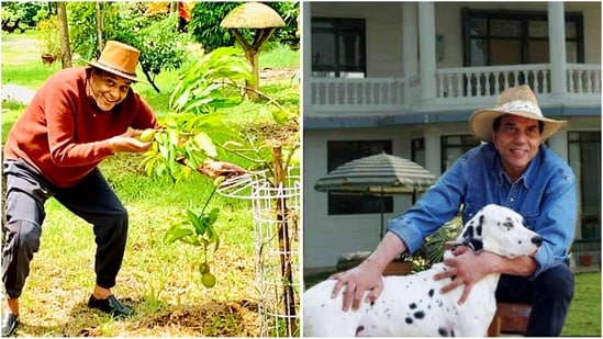Step inside Dharmendra’s peaceful 100-acre Lonavala farmhouse where he ...